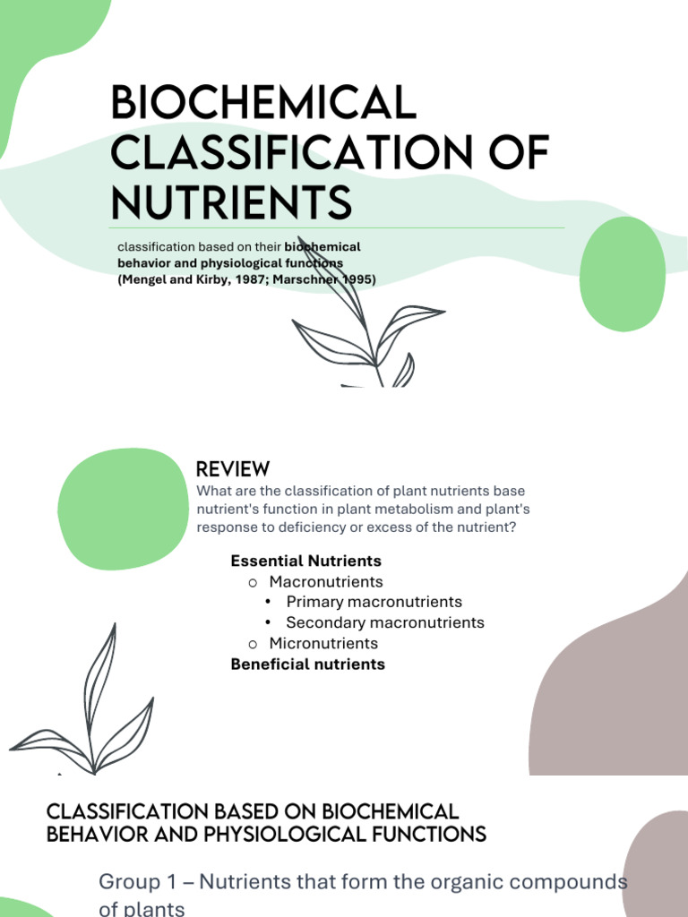 6 Biochemical Classification of Nutrient | PDF | Nutrients | Photosynthesis