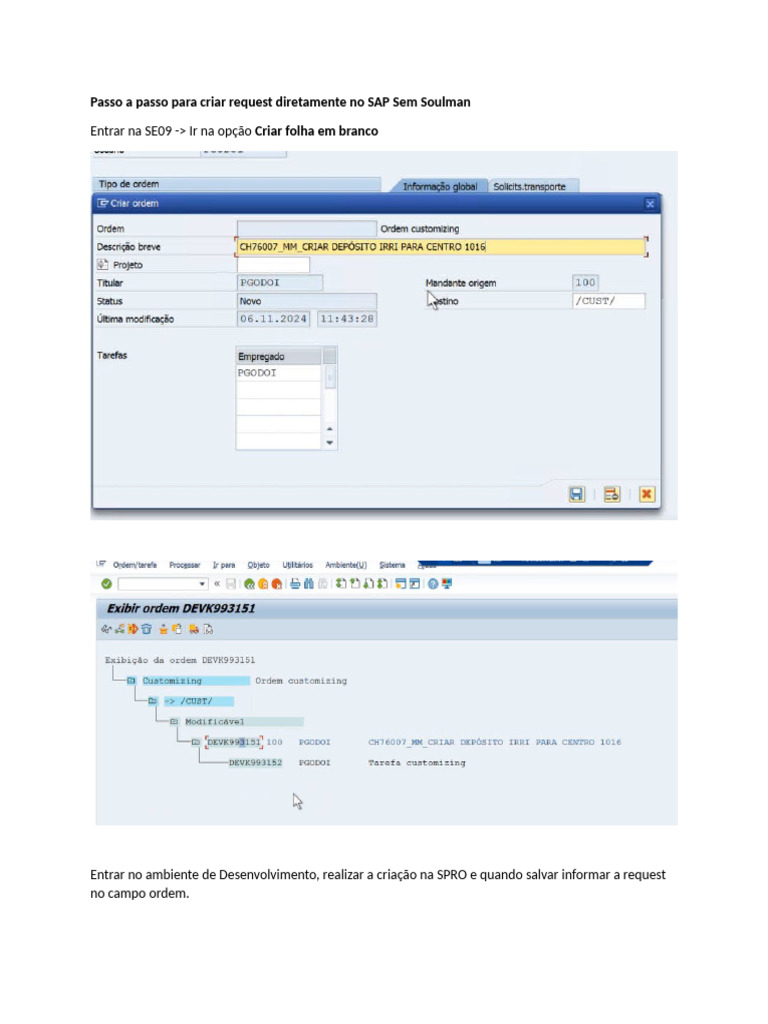 Criando Request no SAP Sem Soulman | PDF