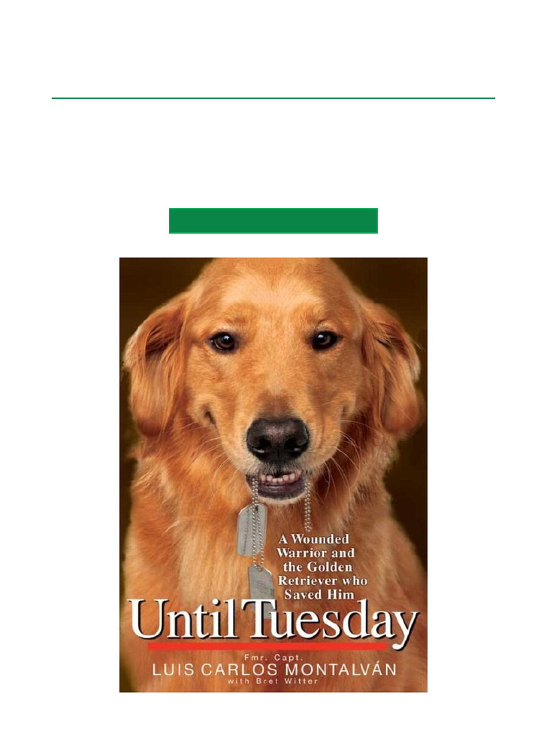 Until Tuesday: Warrior & Dog Rescue | PDF