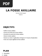 Anatomie des anses grêles et mésentère | PDF | Péritoine | Spécialités ...