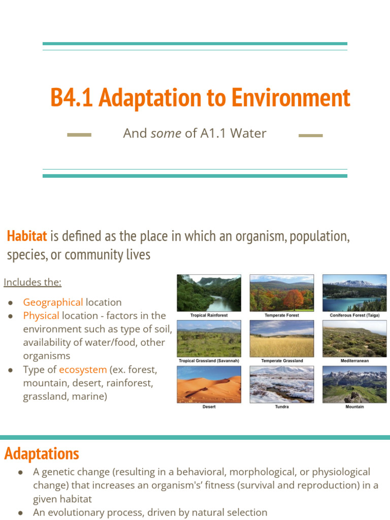 B4.1 Adaptation To Environment | PDF | Coral | Habitat