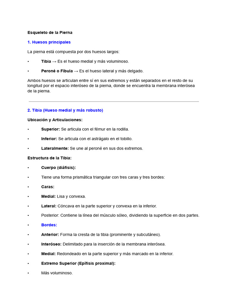 Tibia y Perone | PDF | Sistema musculoesquelético | Anatomía del ...