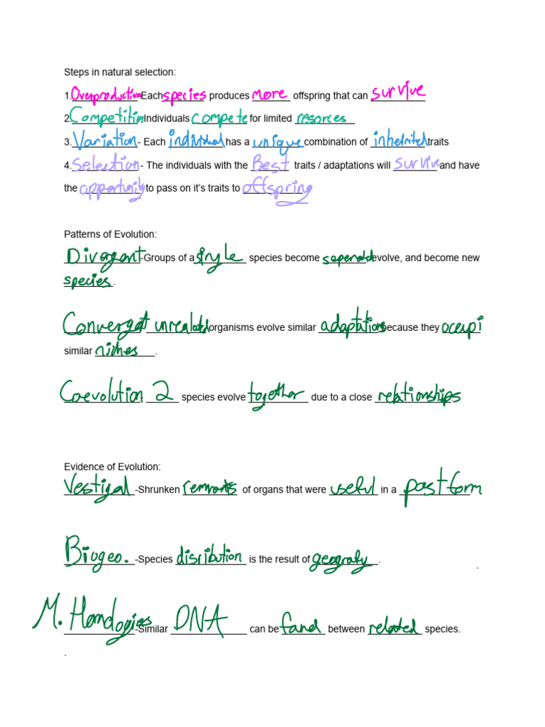 Evidence+of+Evolution+Guided+Notes | PDF