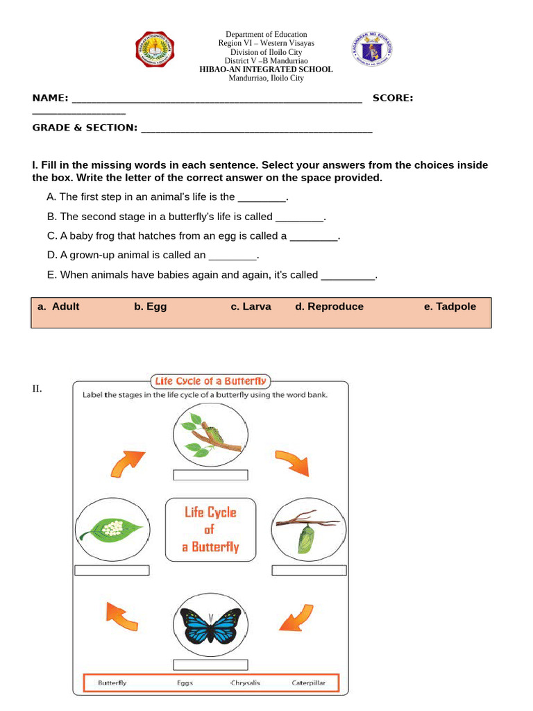 Animal Life Cycle Worksheet | PDF
