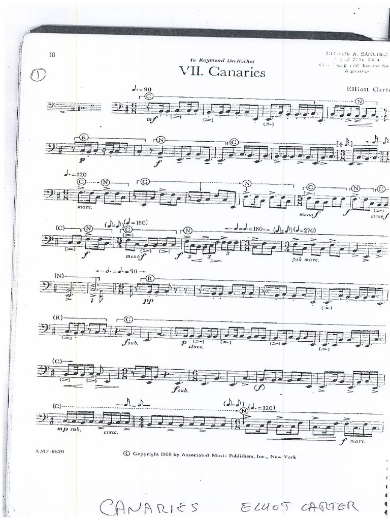 CARTER Elliott - Canaries VII - TIM | PDF