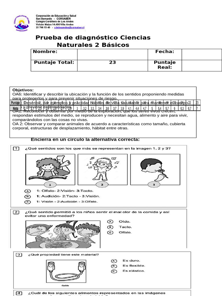 Prueba de Diagnóstico Ciencias Naturales 2 Básicos | PDF