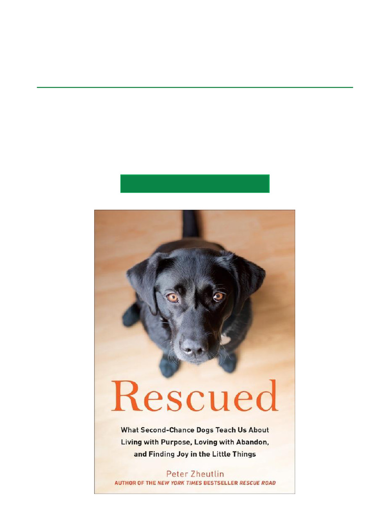 Rescued What Second Chance Dogs Teach Us About Living With Purpose ...