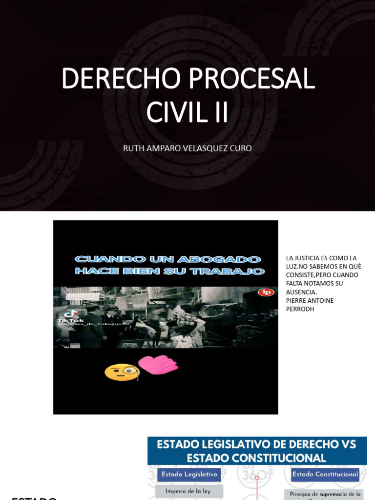 Derecho Procesal Civil Ii - Intro | PDF | Dominio eminente | Ley procesal