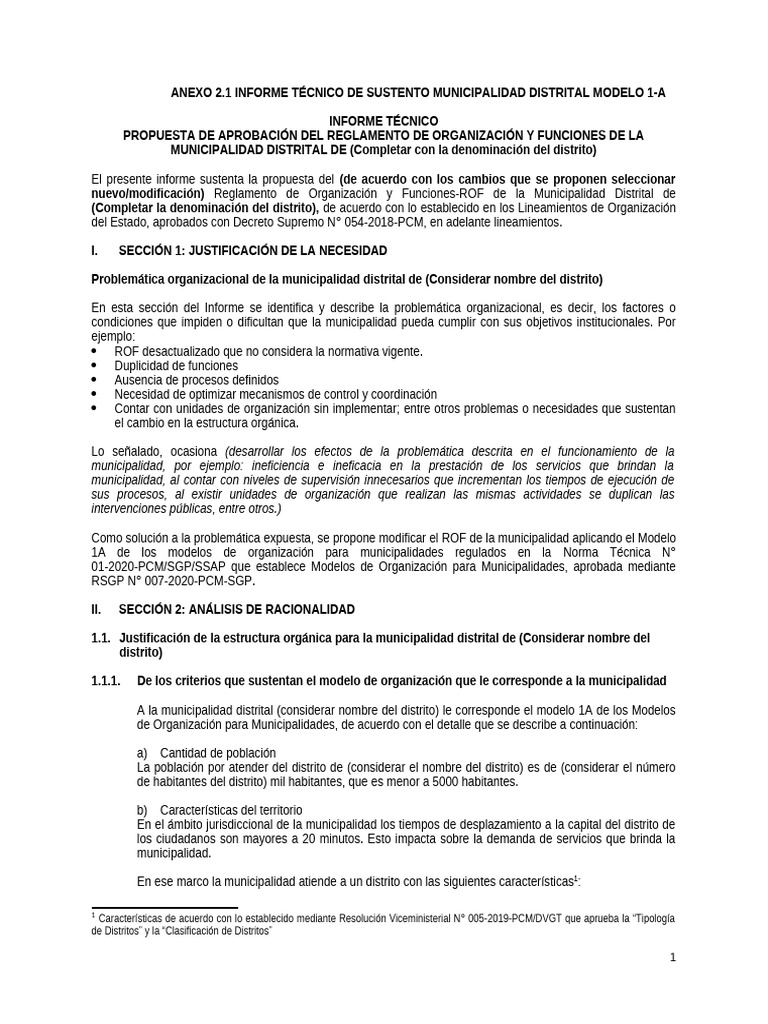 Informe Técnico Sustentatorio Modelo 1A Ejemplo | PDF | Gobierno local ...