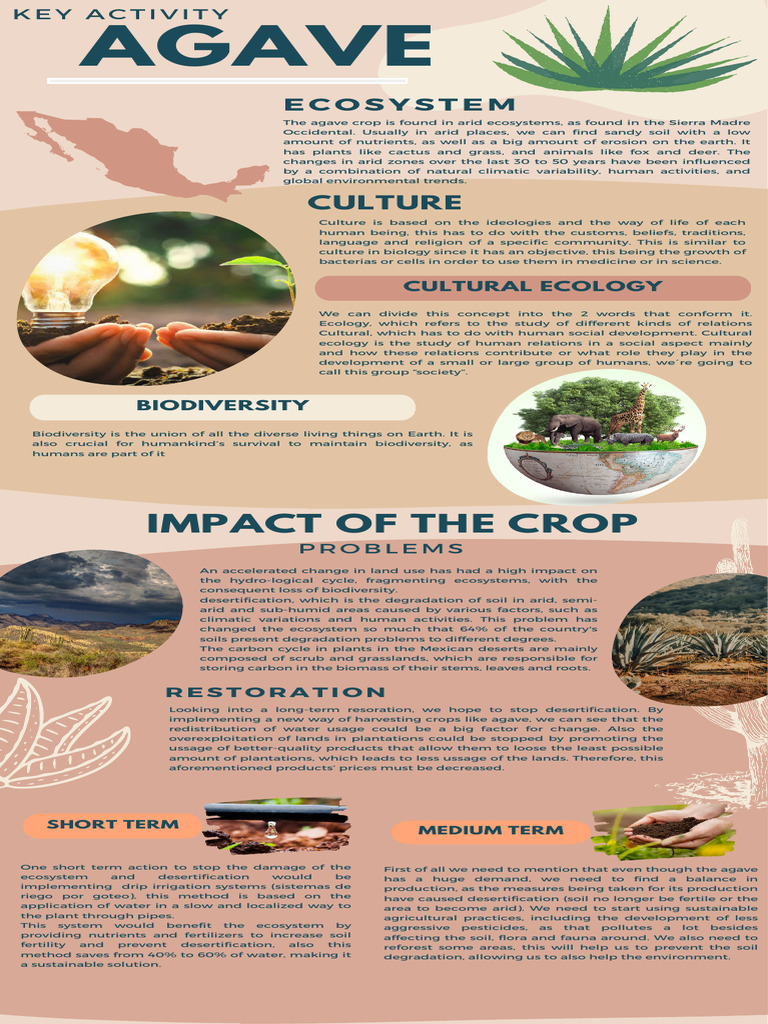 Sustainable Agave Farming Solutions | PDF | Ecosystem | Soil