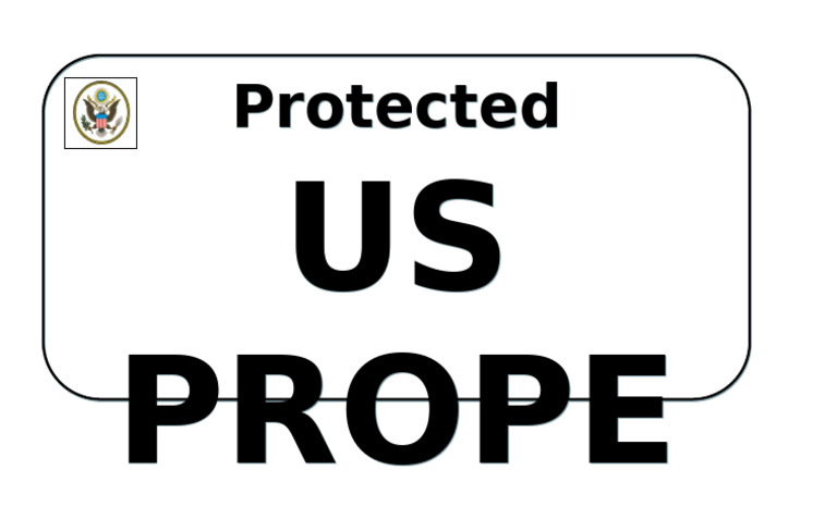 US License Plate | PDF