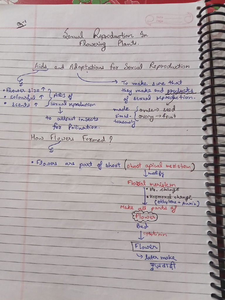 Scanned 20250406-1019 | PDF