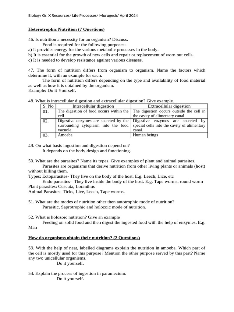 Bio - Gr. X - Ch. 05 - Life Processes - 3 Students Assignment | PDF ...