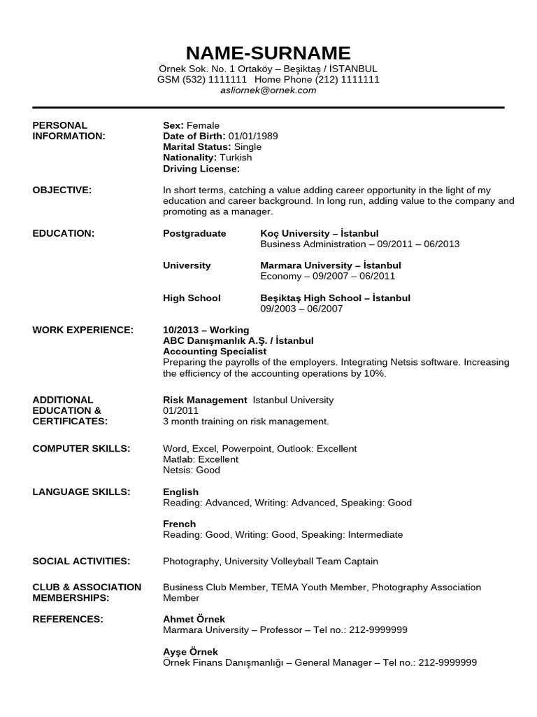 Ingilizce CV Ornek 2 | PDF