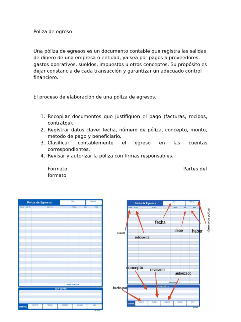 Póliza de Egresos: Guía y Ejemplo | PDF