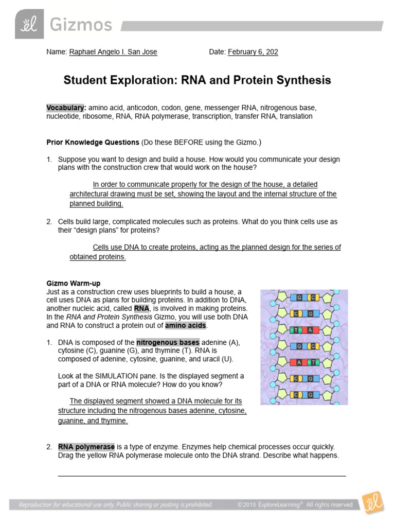RNA and Protein Synthesis Overview | PDF | Translation (Biology) | Rna