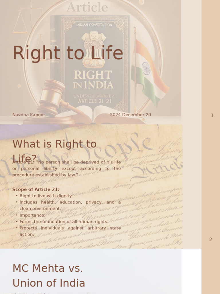 Brown Monochrome Simple Minimalist Presentation Template - 20241225 ...