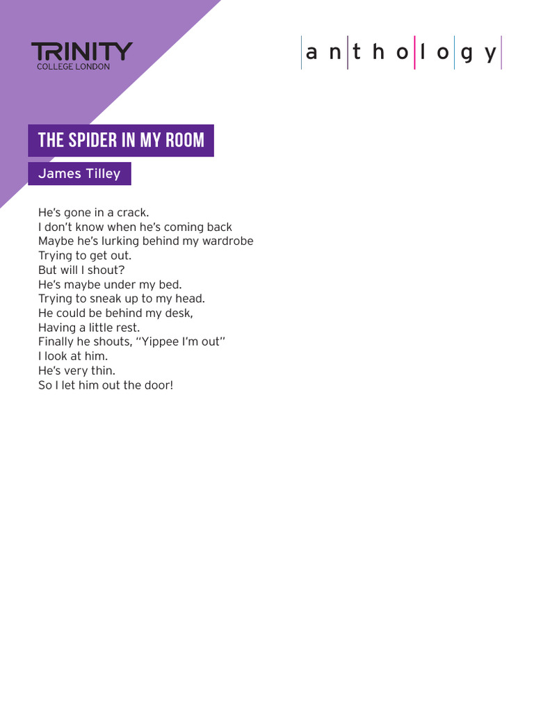 FoePoe The Spider in My Room | PDF