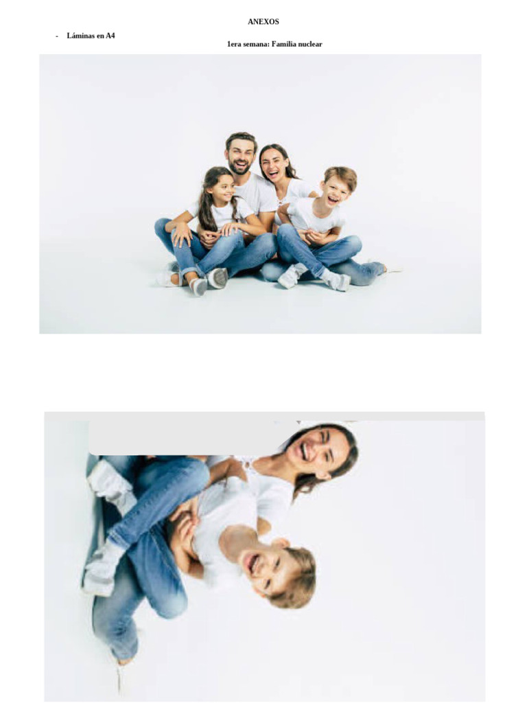 Laminas - Tema La Familia | PDF