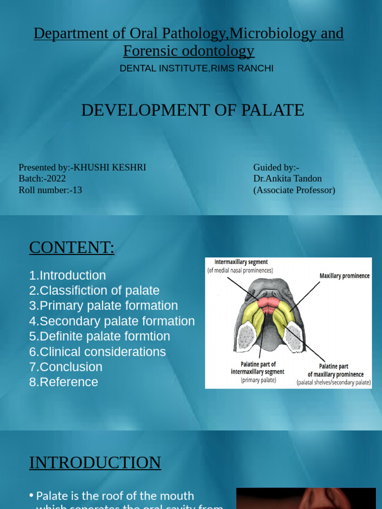 Development of Palate | PDF | Mouth | Human Anatomy