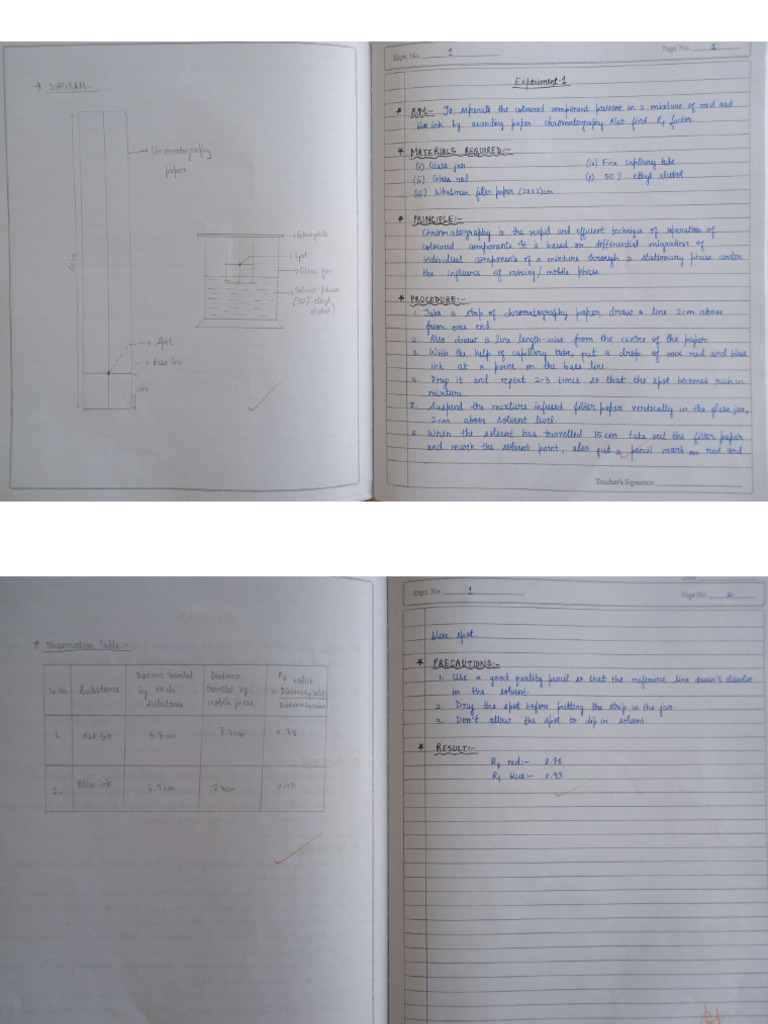 Expt-14 Blue & Red Ink Chromatography (Content Based Expt) | PDF