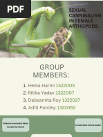 Bird and Insect Courtship Behaviors | PDF | Birds | Mating