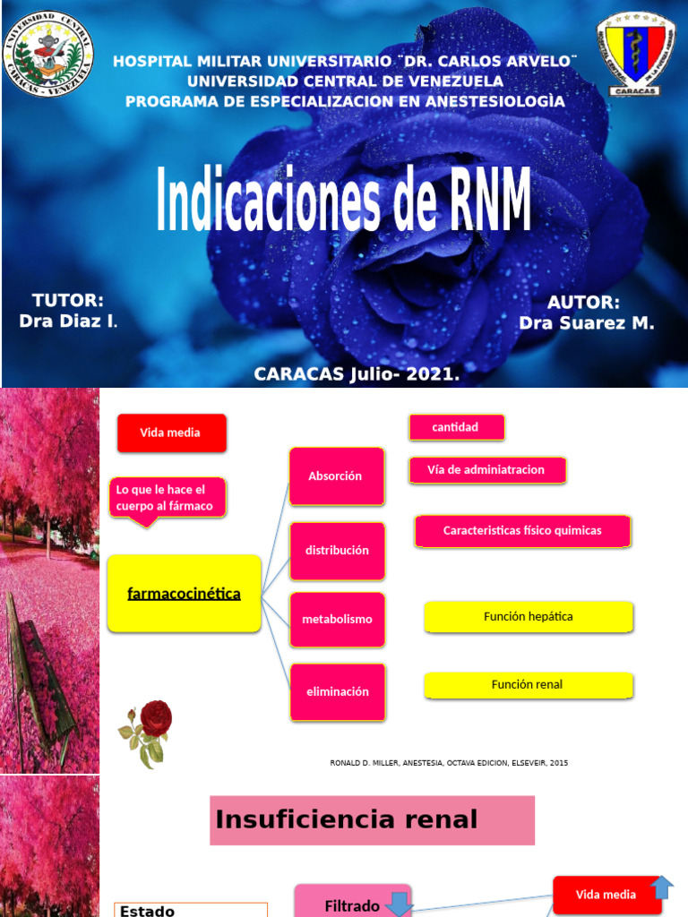 Diapo RNM Mabe | PDF | Especialidades Medicas | Drogas