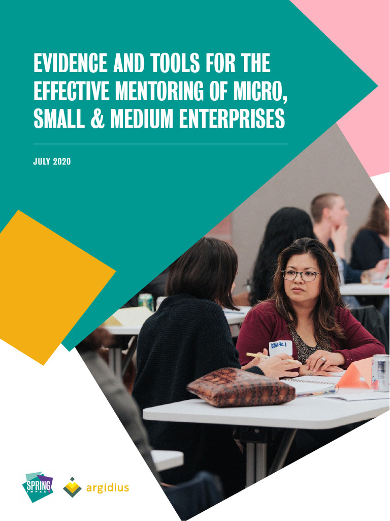 Effective Mentoring for MSMEs Guide | PDF | Mentorship | Small And ...