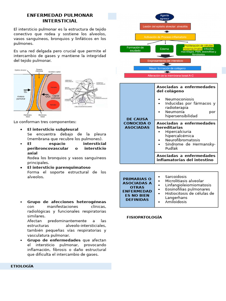 Enfermedad Pulmonar Intersticial | PDF | Inflamación | Neumonía