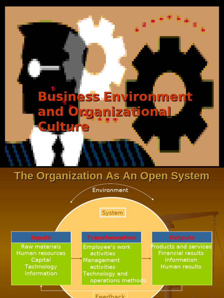 Business Environment and Organizational Culture | PDF | Mergers And ...