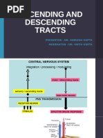 Ascending and Descending Tracts | PDF | Spinal Cord | Central Nervous System