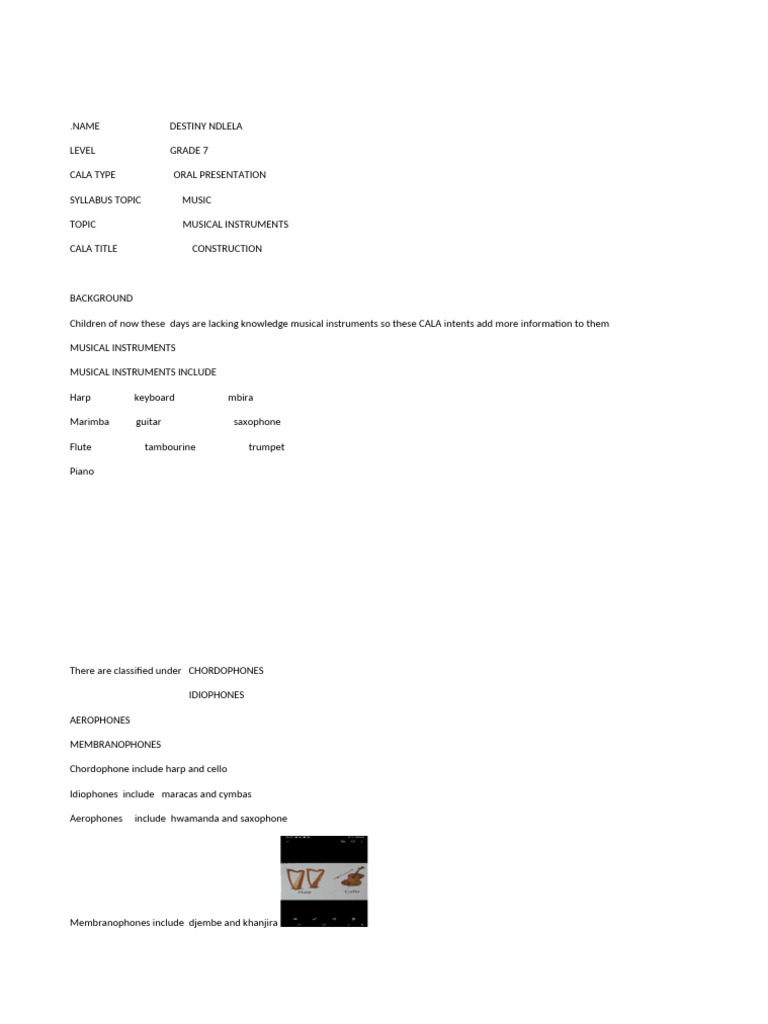 Name Destiny Ndlela | PDF