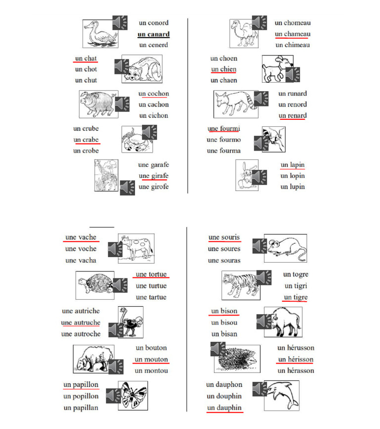 Unité 1 Les Animaux | PDF