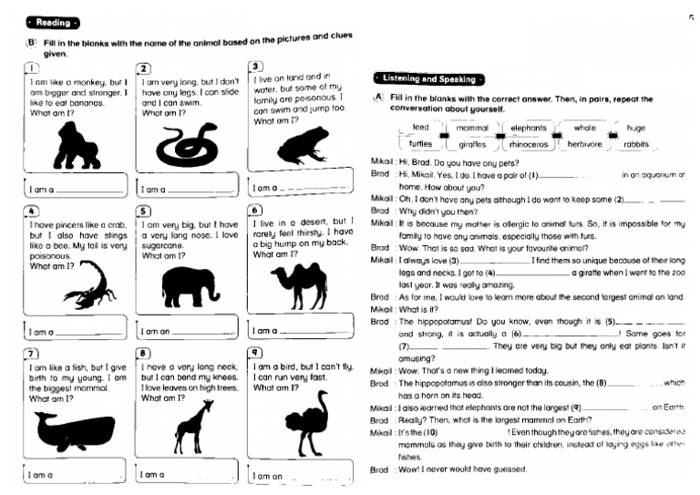 English Wildlife | PDF