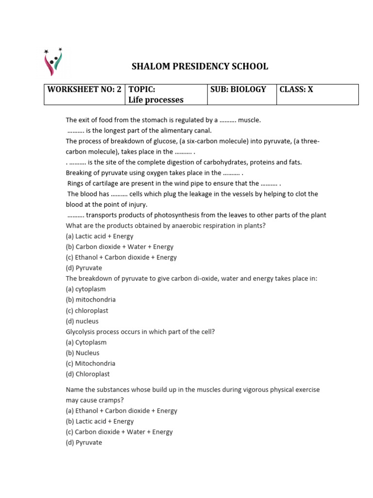 Life Processes Worksheet 2 2 | PDF | Cellular Respiration | Biology