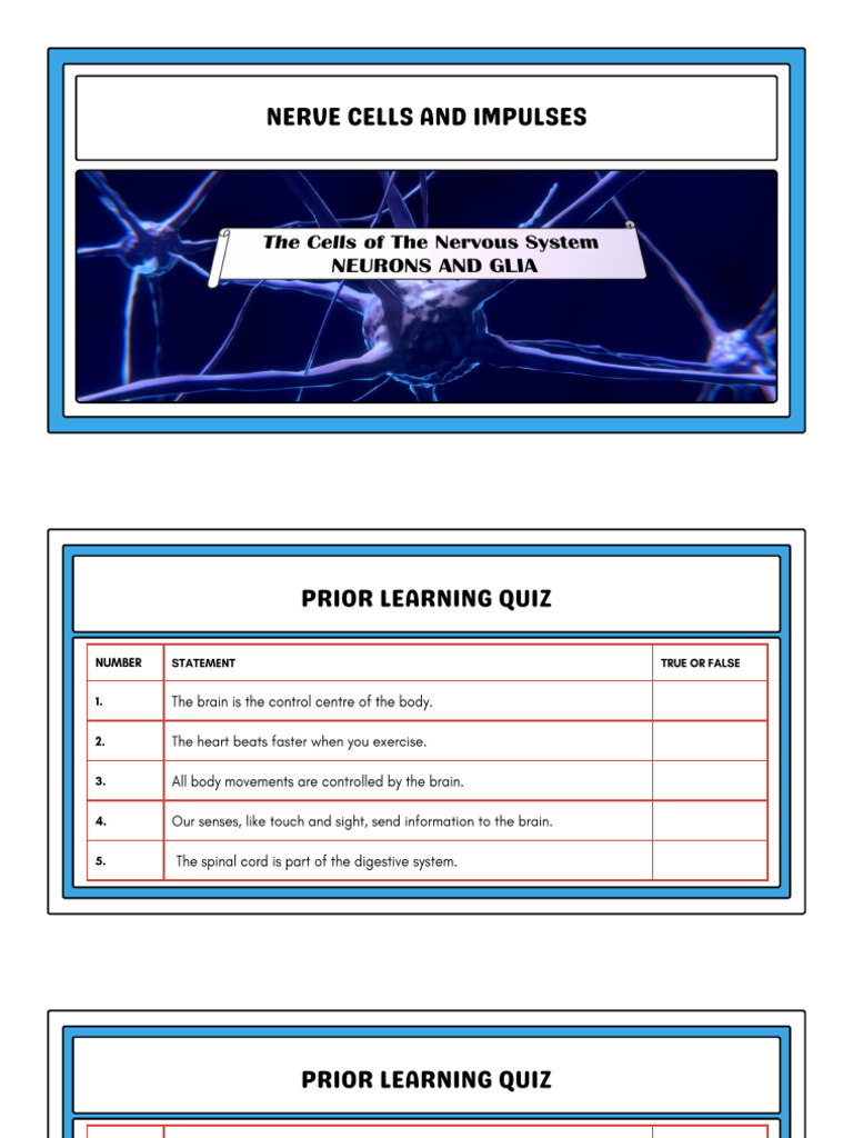 Understanding Neurons and Glia Cells | PDF | Axon | Neuron