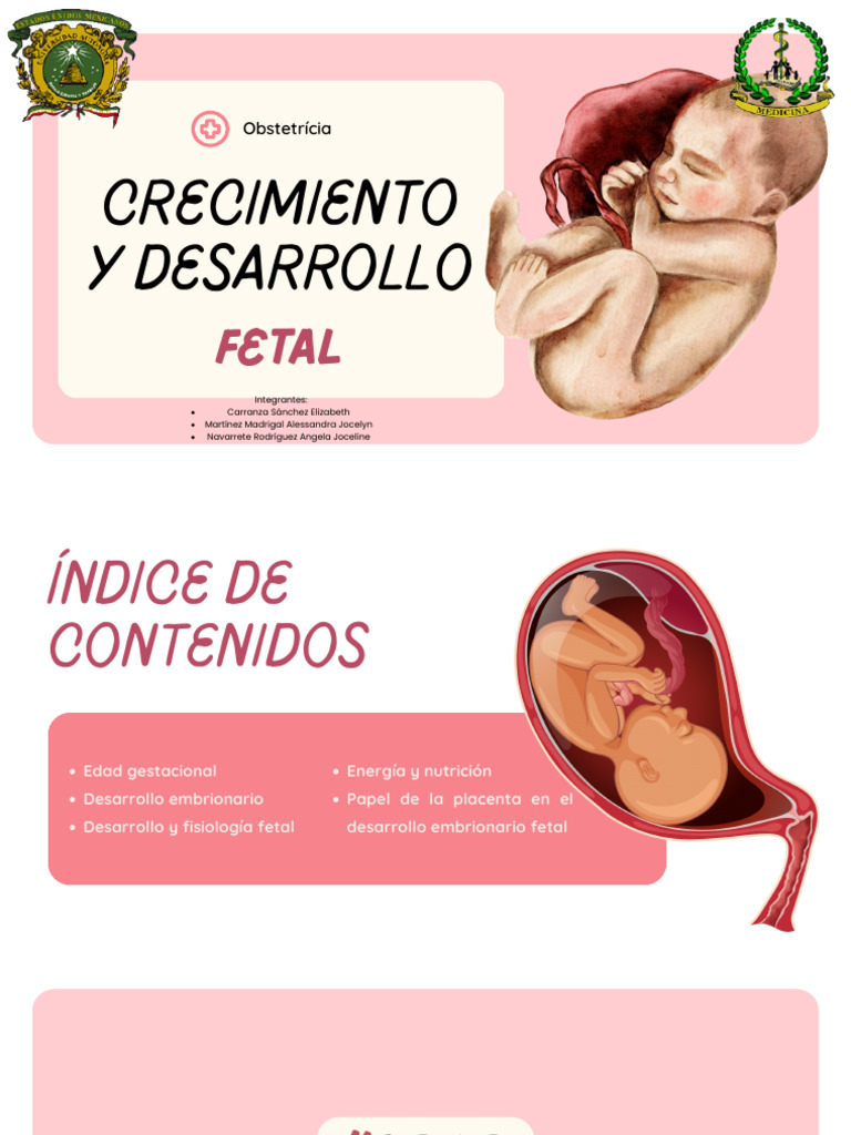 Crecimiento y Desarrollo Fetal | PDF