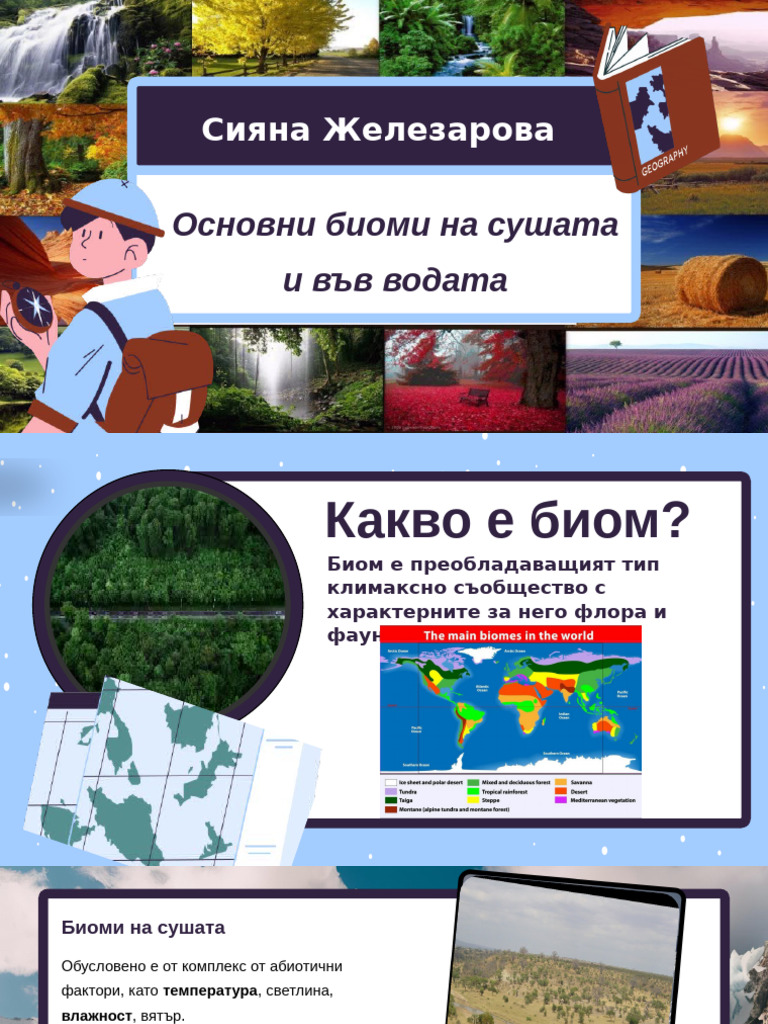 Natural Disasters - Avalanche | PDF