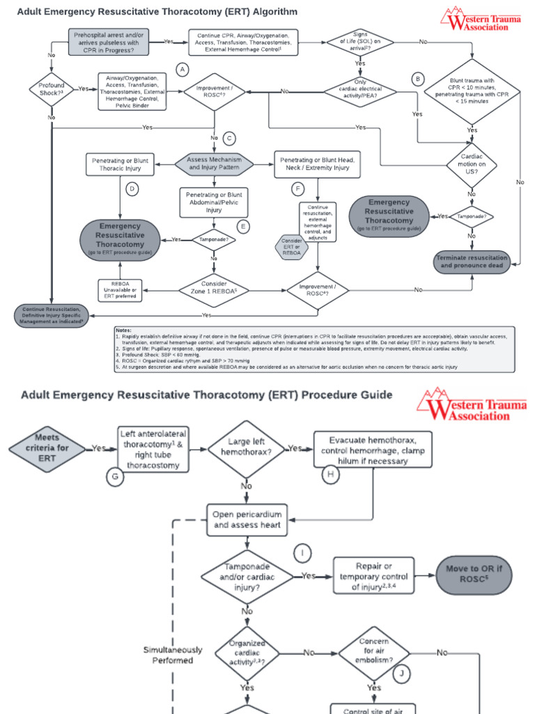 ERT Algorithm Procedures | PDF | Circulatory System | Surgical Specialties