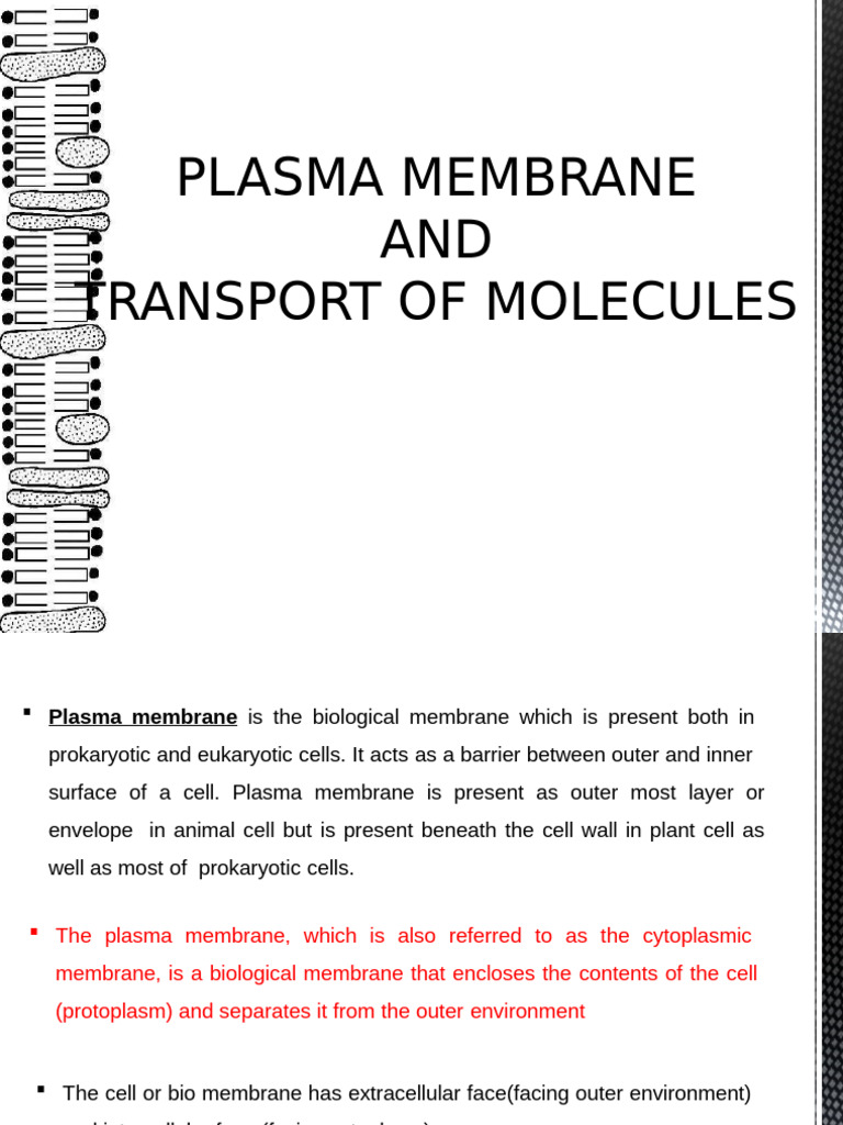 Plasma Membrane and Transport of Molecules | PDF | Cell Membrane | Cell ...