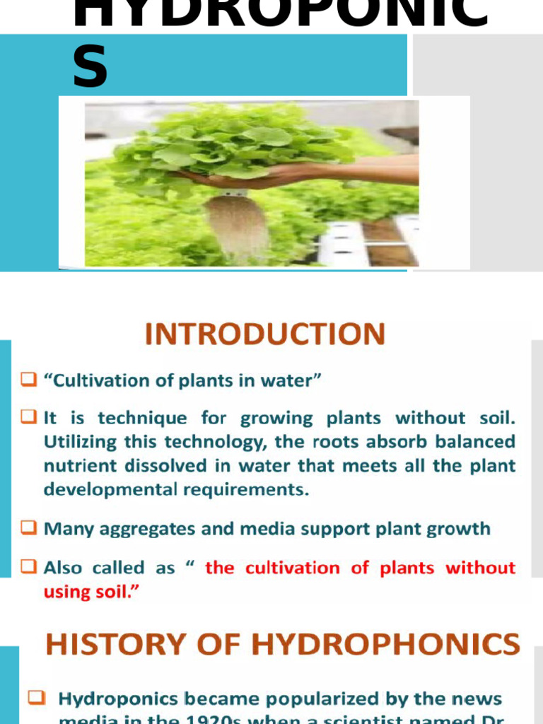 Hydroponics | PDF