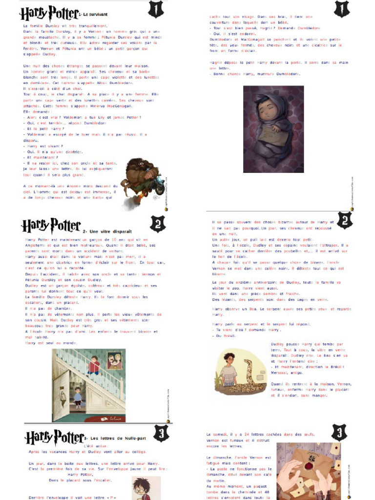 Harry Potter _ lecture simplifiée pour FLE- FLSCO (chapitres 1 à 3 DYS ...