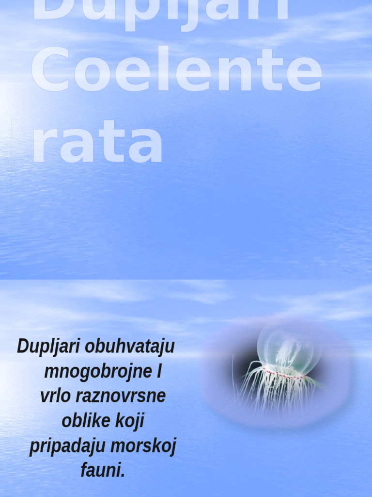 Selma, Dupljari | PDF