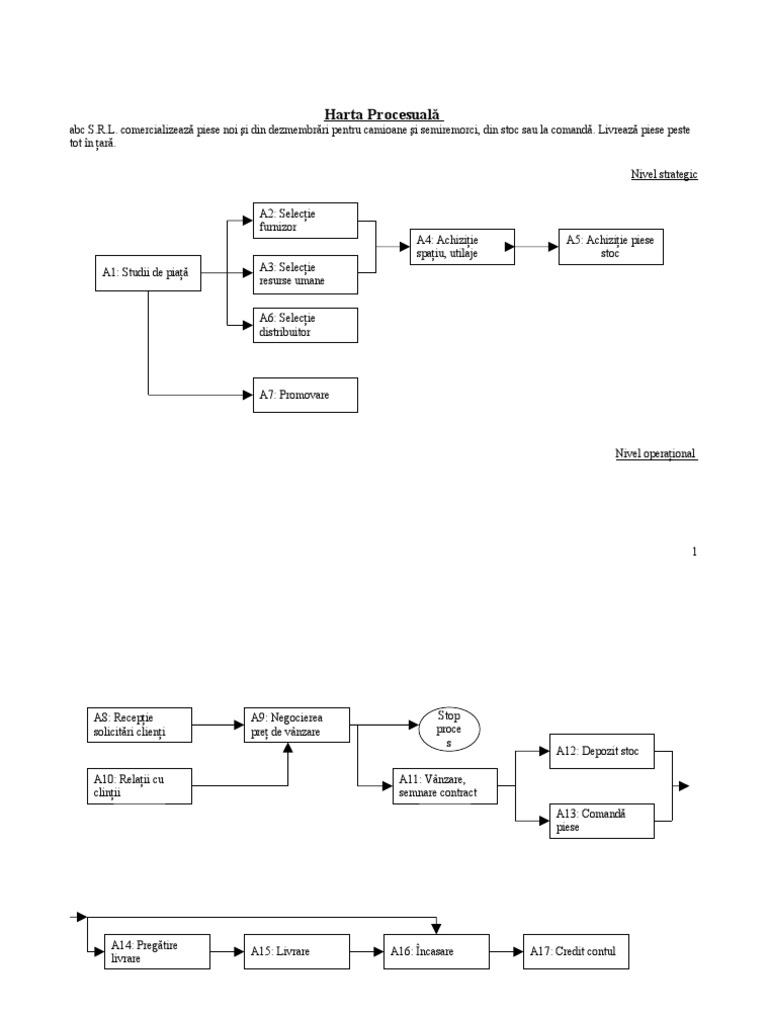 Harta Procesuală | PDF