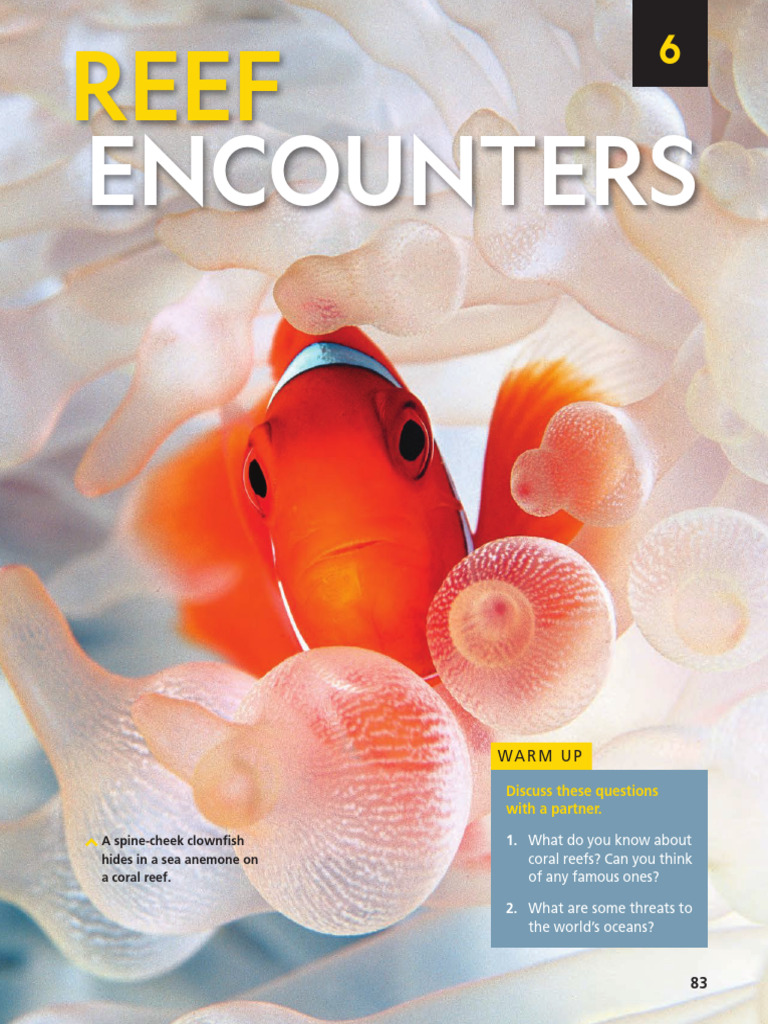 Missing Pages (Reef Encounters | PDF | Coral Reef | Coral