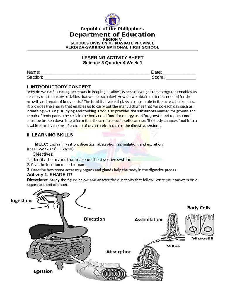 Q3 - LAS - WEEK 1 Copy 2 | PDF | Digestion | Stomach