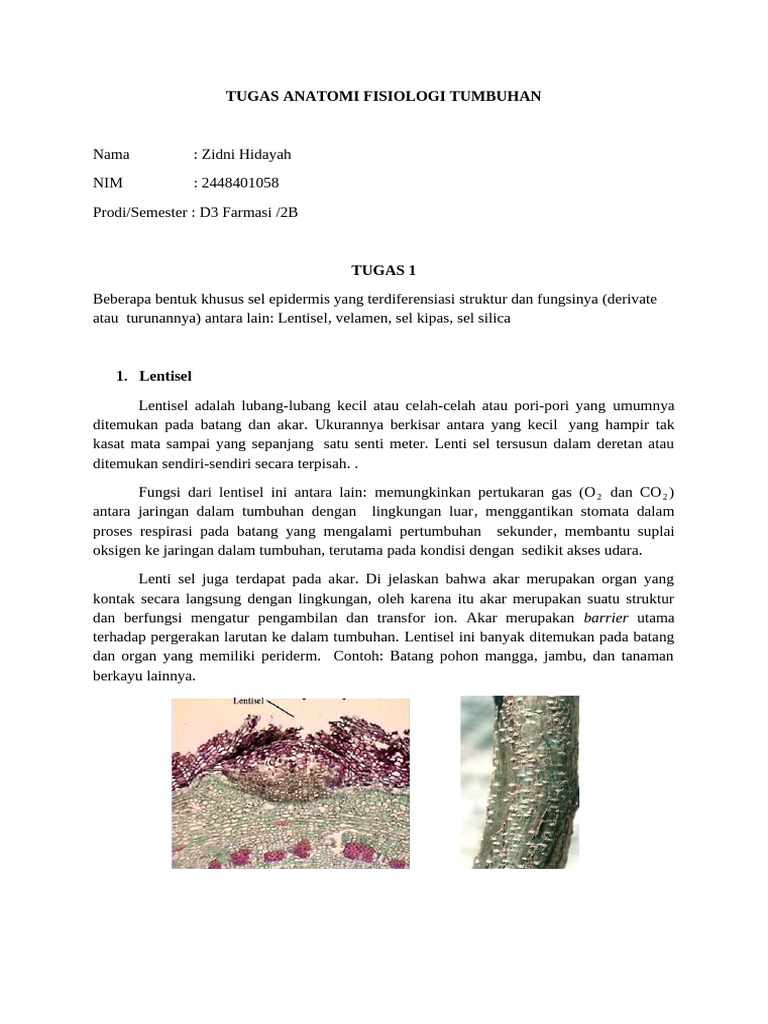 Anatomi dan Fisiologi Sel Tumbuhan | PDF