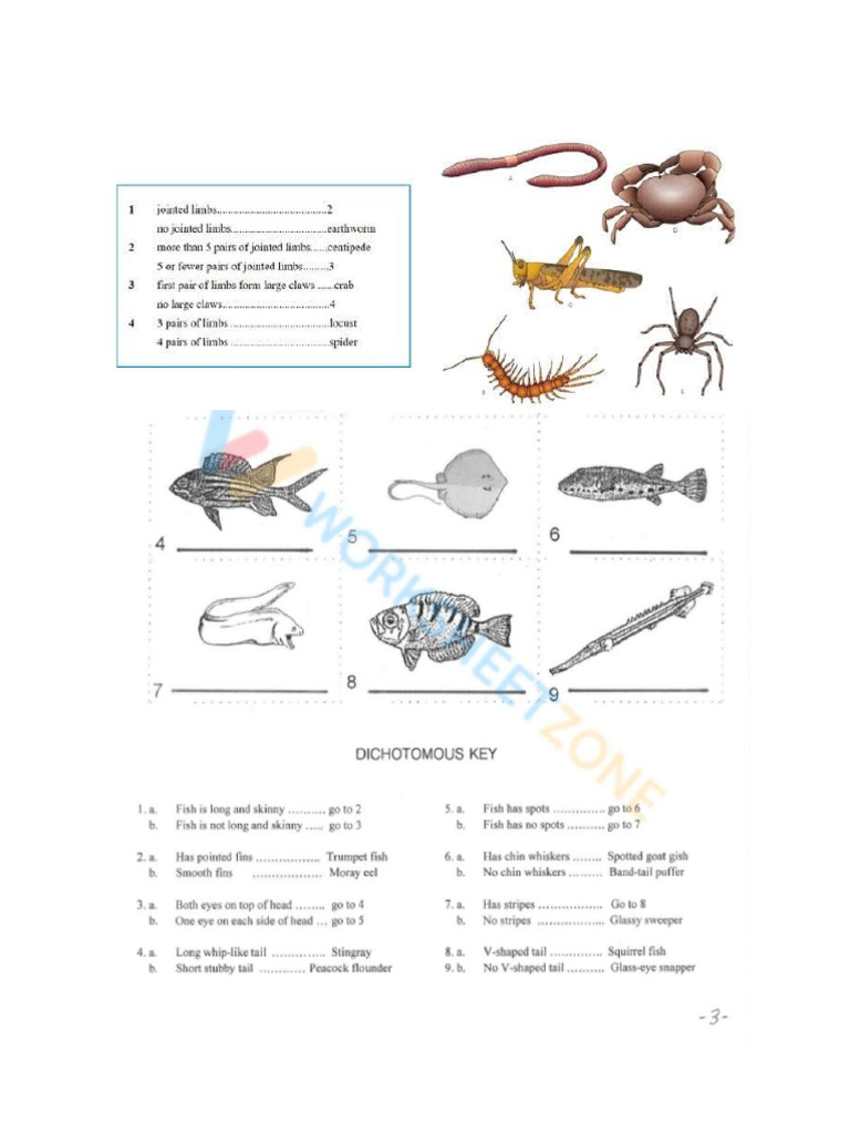 G7 key worksheet | PDF