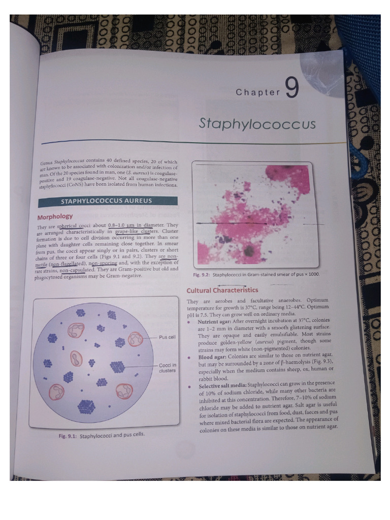 Chapter 9 Micro | PDF