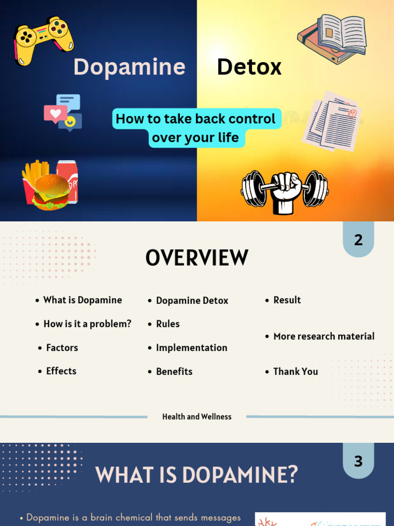 Dopamine Detox Guide by Thibaut Meurisse | PDF | Dopamine | Reward System